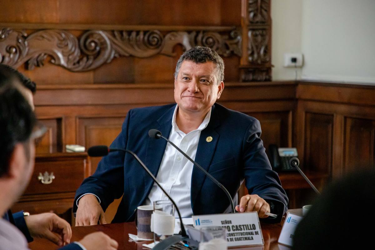 ¿Qué ha sido del vicepresidente Guillermo Castillo?