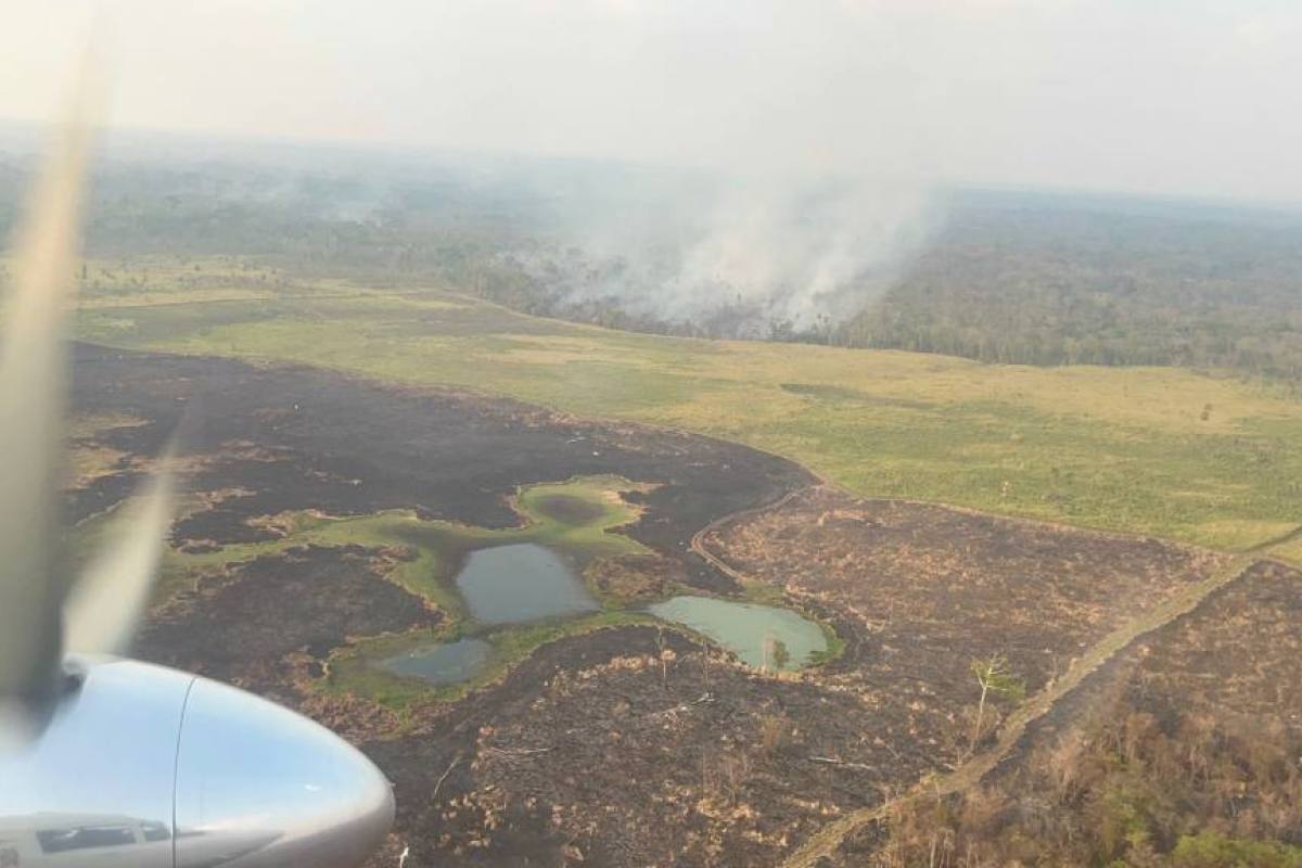 Selva maya de Guatemala es asolada por incendios
