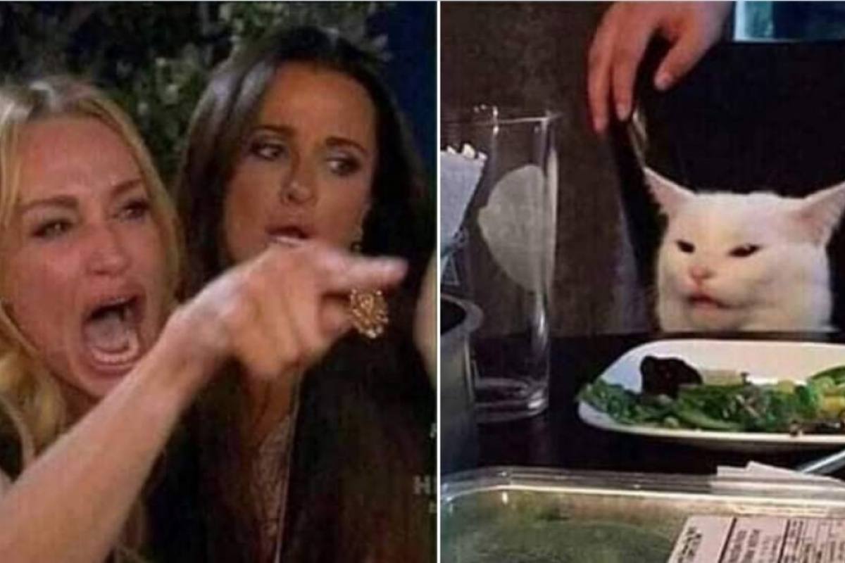 Memes 2024 que se destacaron por creatividad y elocuencia