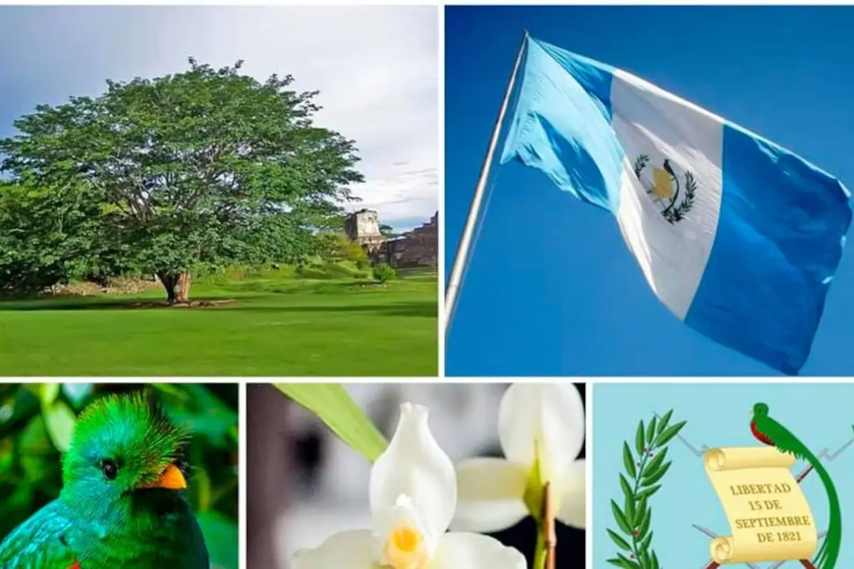 Descubre los 7 Símbolos Patrios de Guatemala y su Significado