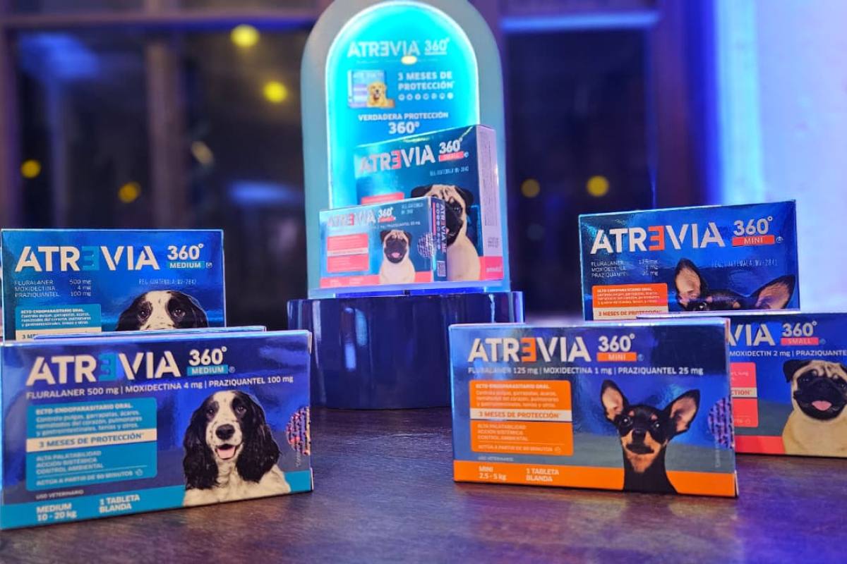 Atrevia 360 en Guatemala: Protección para Perros